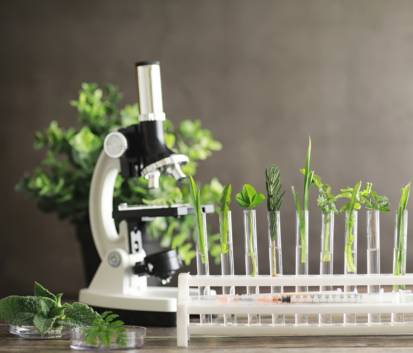 Does Hormone Treatment Help Food Sensitivities